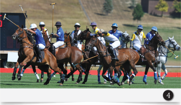 Polo Basics - FLYING H POLO