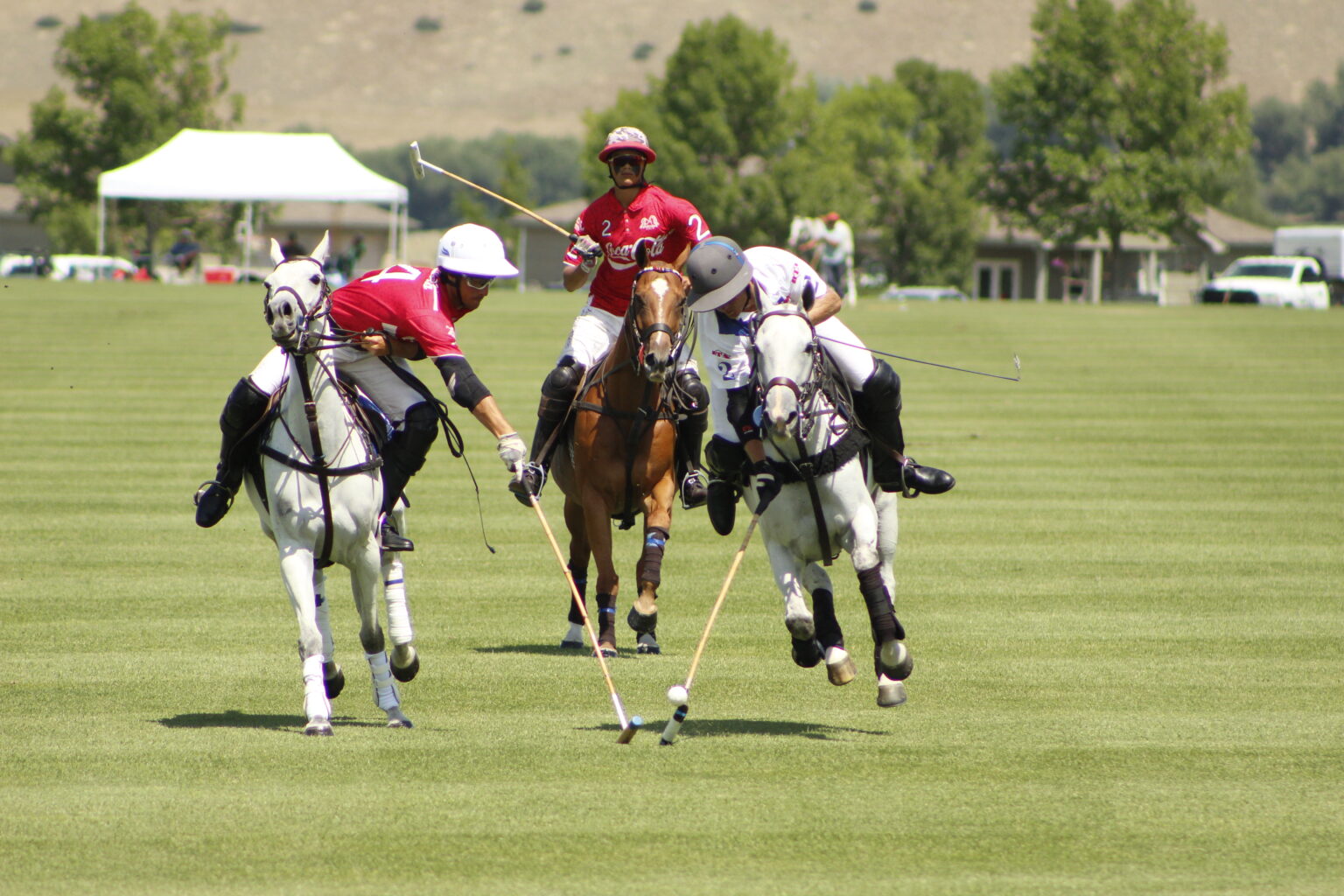Flying H Forms - FLYING H POLO