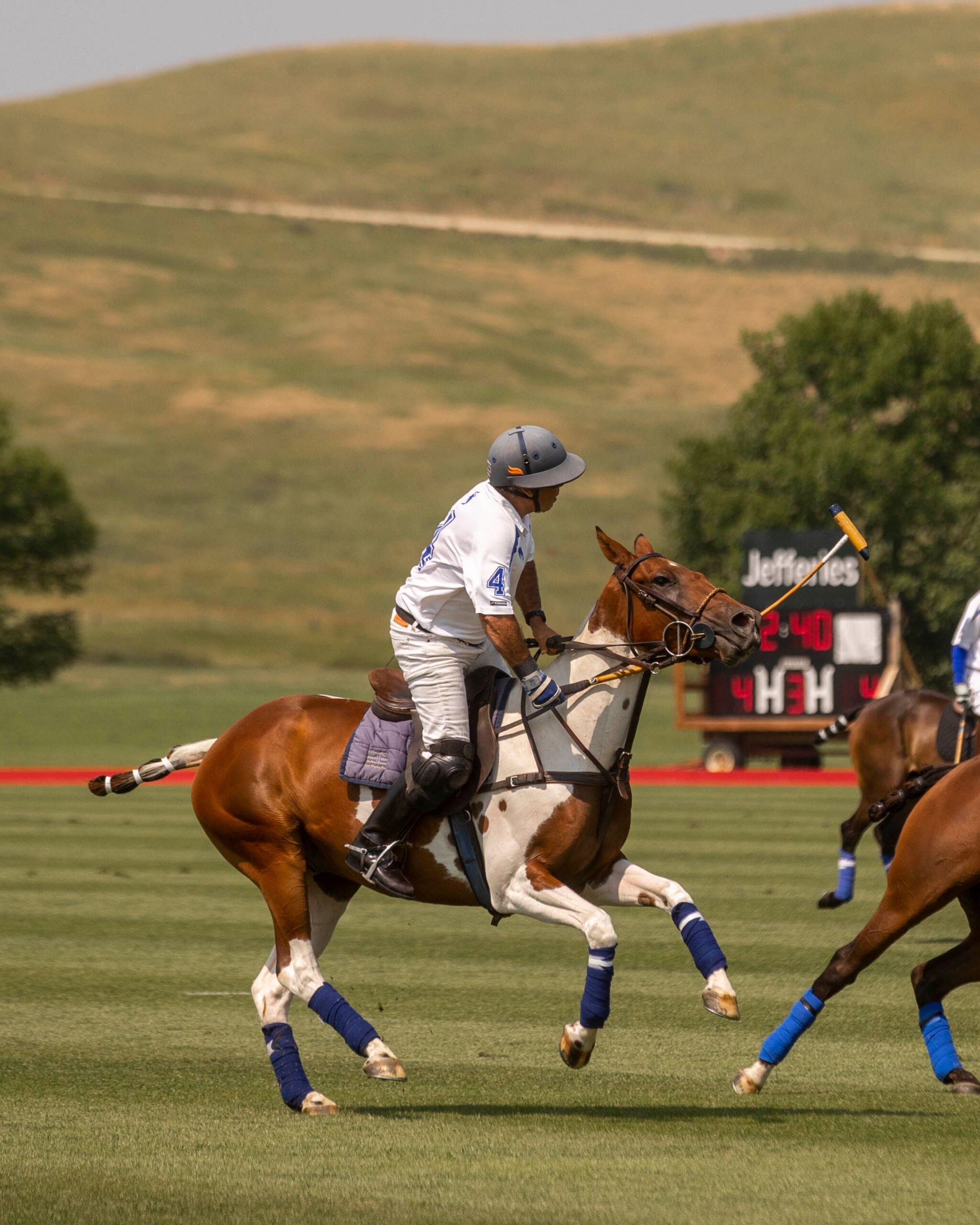 Local Media - FLYING H POLO